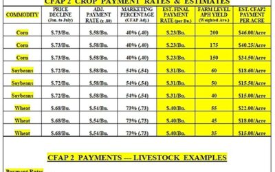 CFAP 2 PAYMENT DETAILS ANNOUNCED - MinnStar Bank